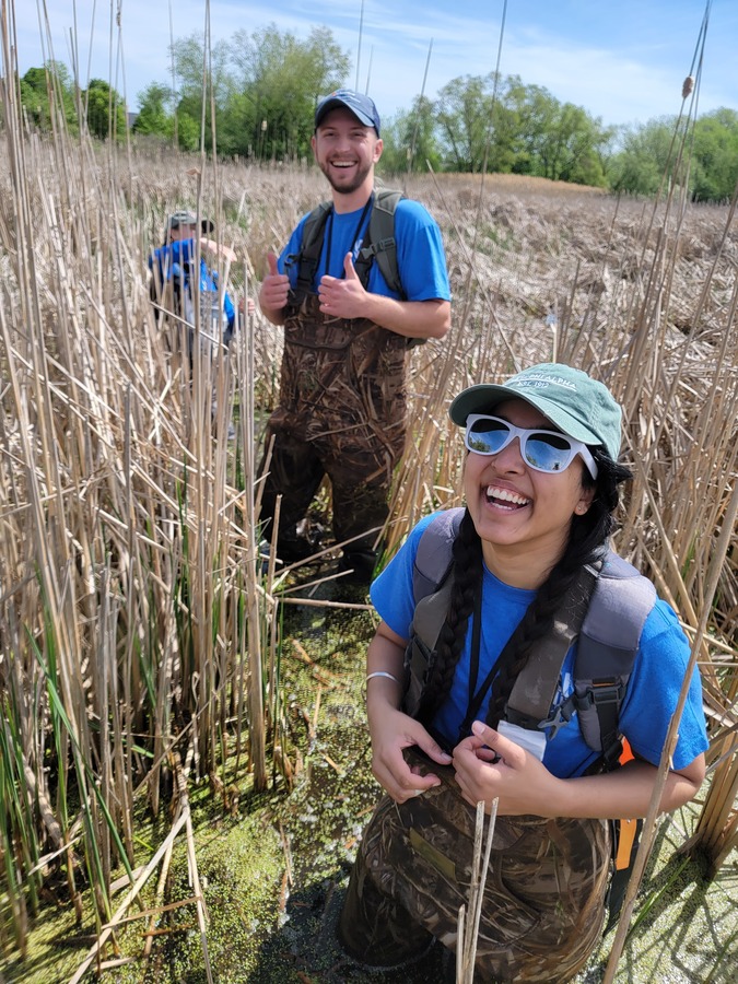 Our First Week in the Marshes – Wildlife Epidemiology Laboratory