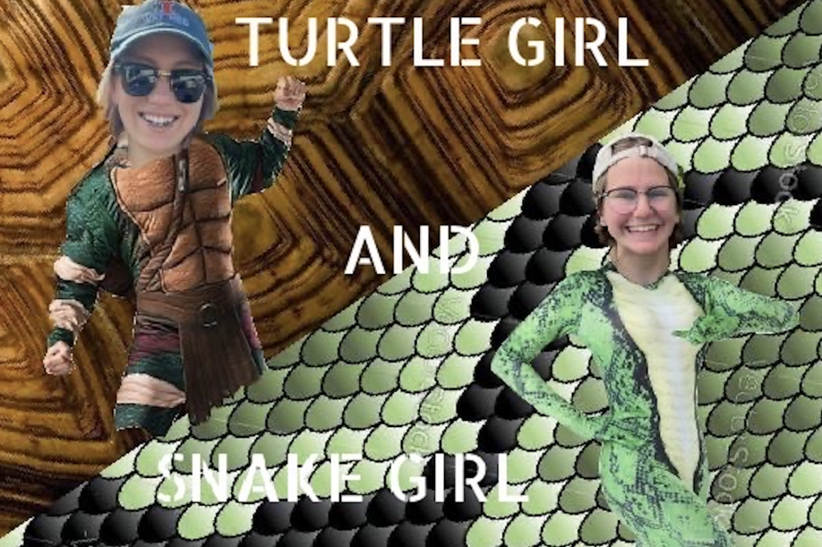 The Chronicles of Turtle Girl and Snake Girl – Wildlife Epidemiology ...