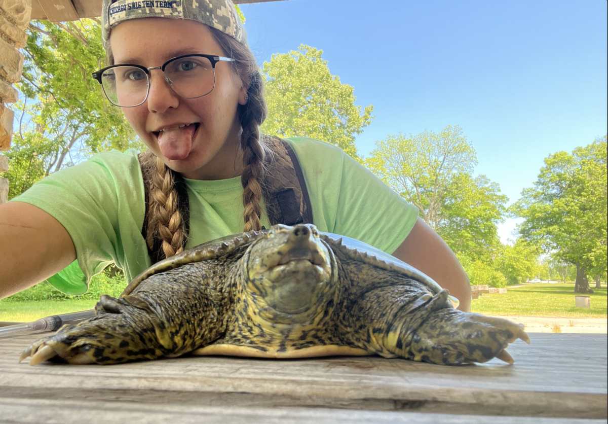 The Chronicles of Turtle Girl and Snake Girl – Wildlife Epidemiology ...