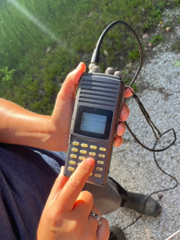 Tune in to the Trials, Triumphs, and Tribulations of Telemetry Turtle ...