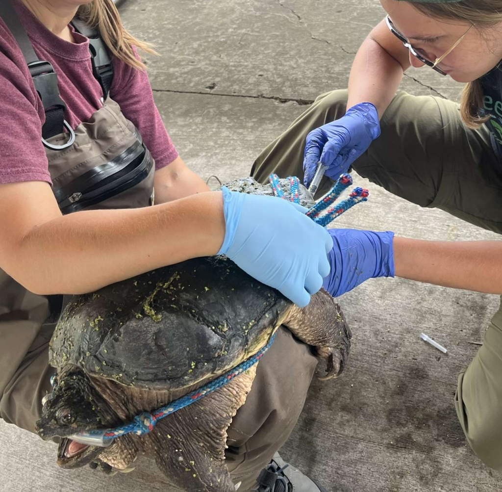 Pack our sampling bags with us! – Wildlife Epidemiology Laboratory