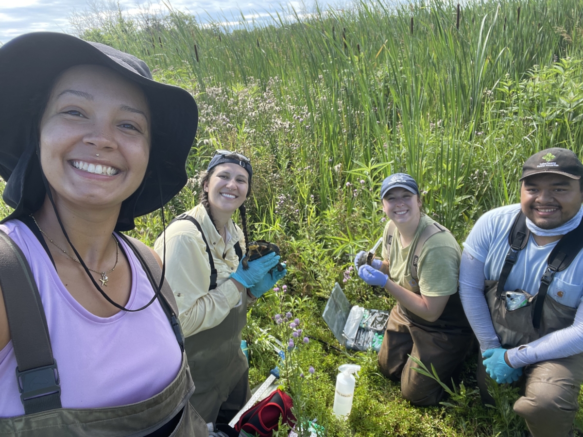 Week 8: Blanding’s Bowl – Wildlife Epidemiology Laboratory