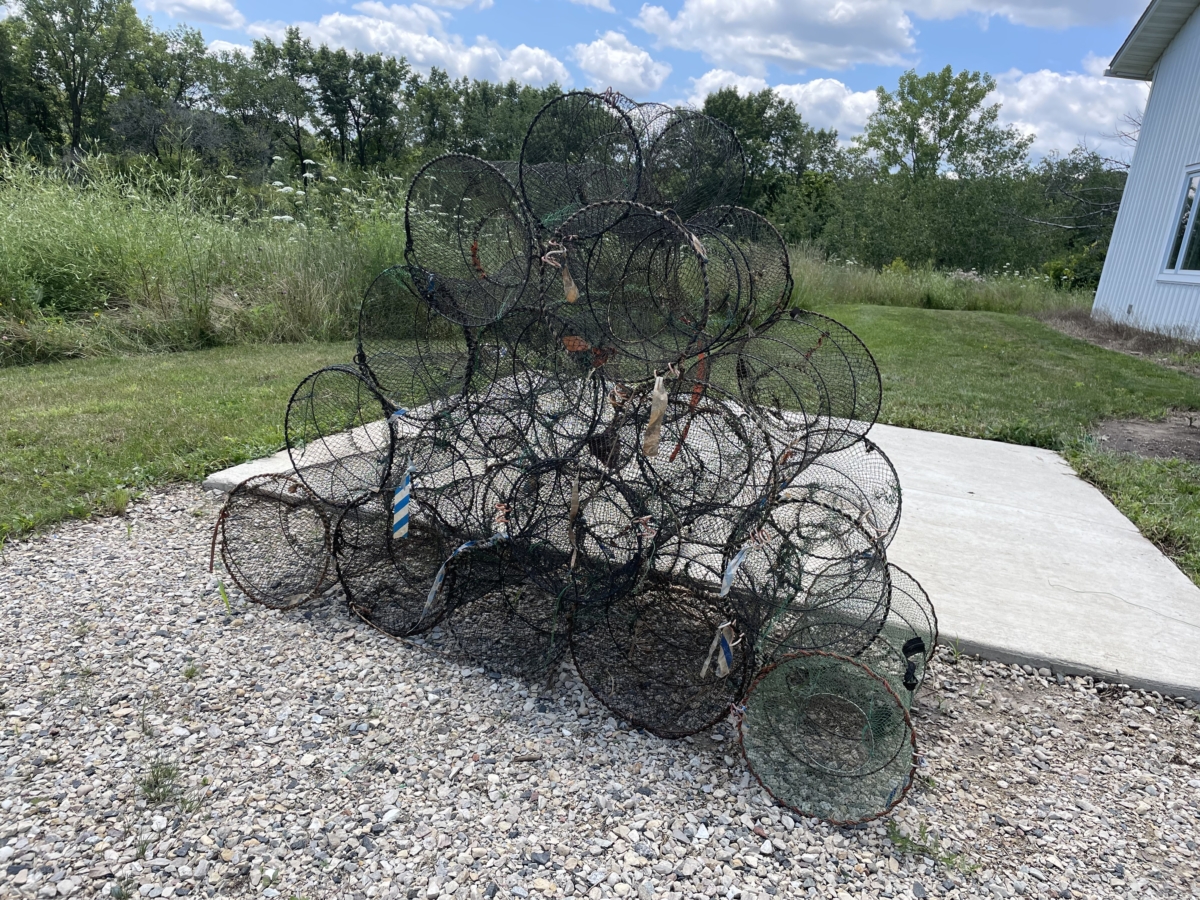 Week 10: Summer is almost over! – Wildlife Epidemiology Laboratory