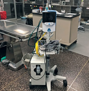 We Have High-Flow! - Veterinary Medicine at Illinois