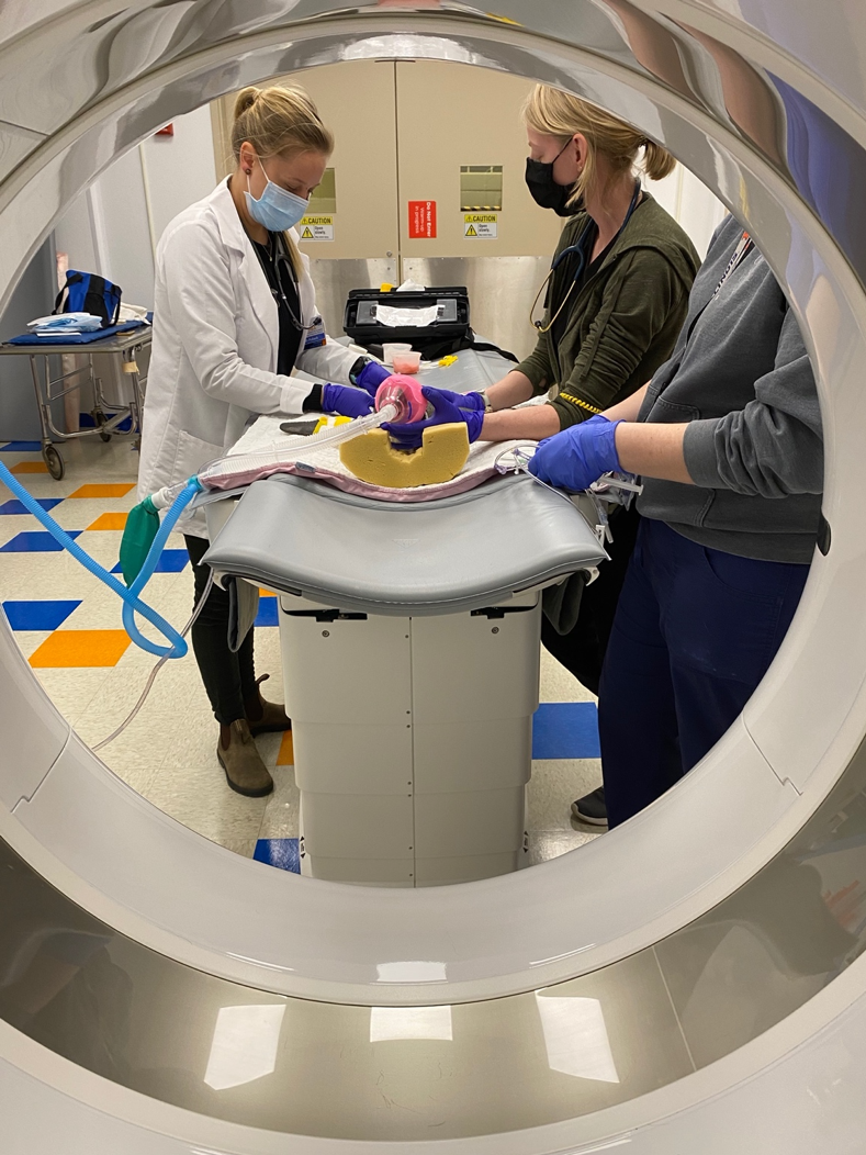 Zoological Medicine - Veterinary Medicine at Illinois