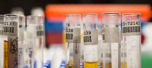 Veterinary Diagnostic Laboratory - Veterinary Medicine at Illinois