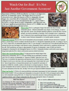 Watch Out for Bsal (Salamander chtyrid fungus) - Veterinary Medicine at ...