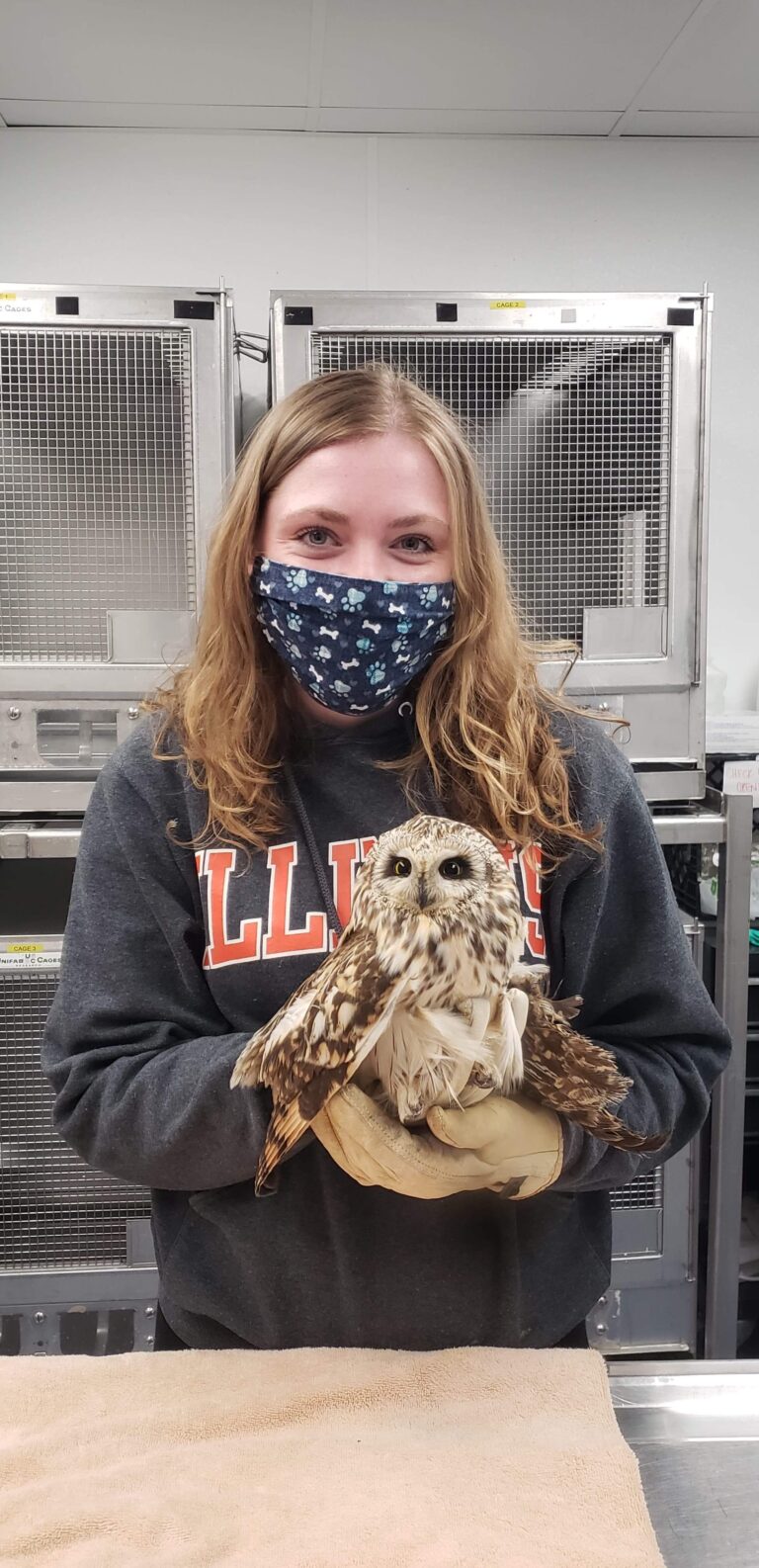 Welcome Bri! - Veterinary Medicine at Illinois