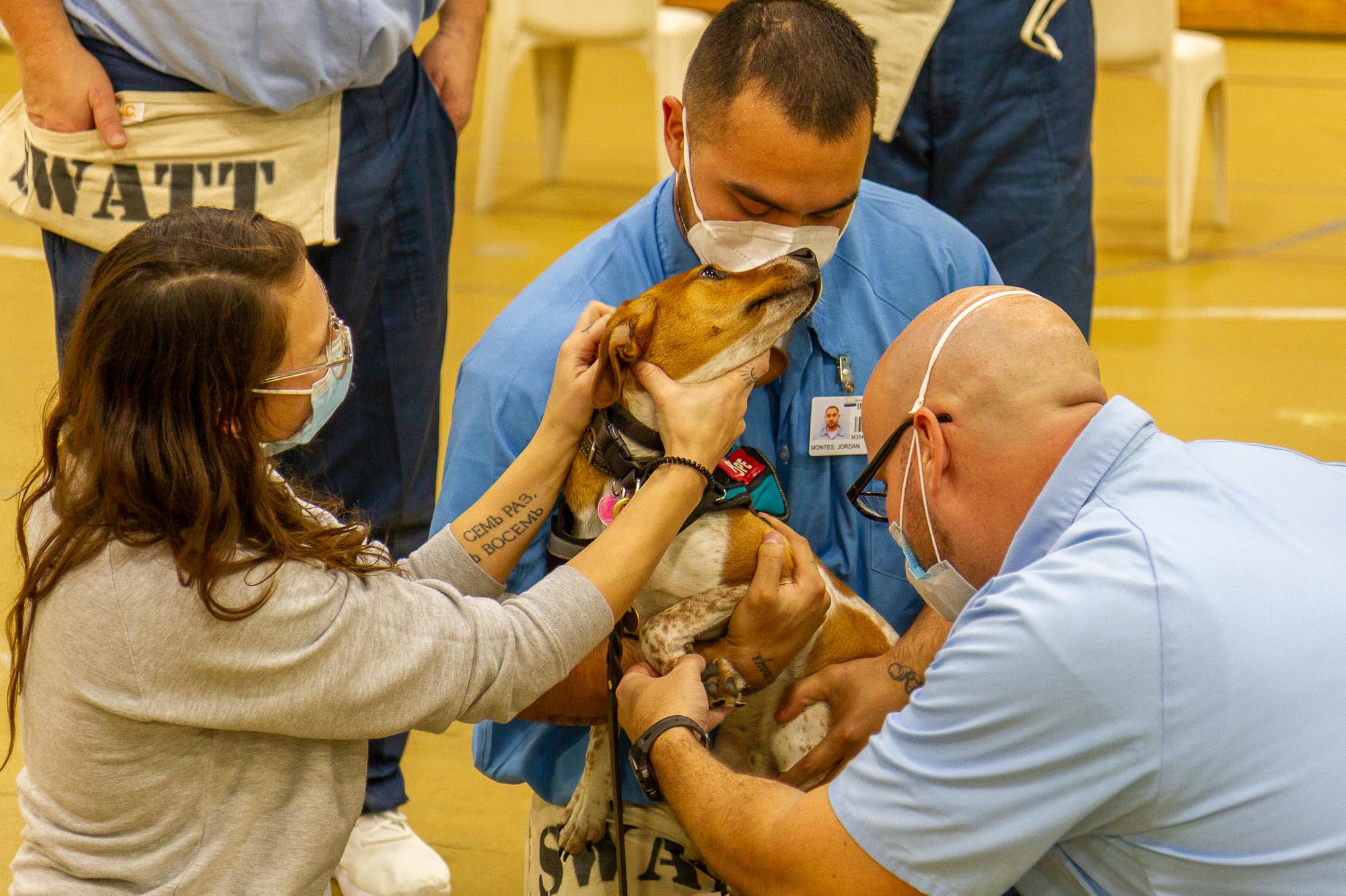 Correctional Center Connects with Canines - Veterinary Medicine at Illinois