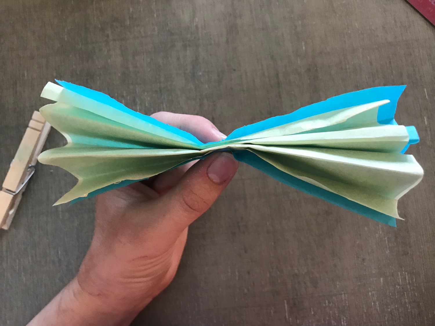 Tissue Paper Butterfly Craft - Veterinary Medicine at Illinois