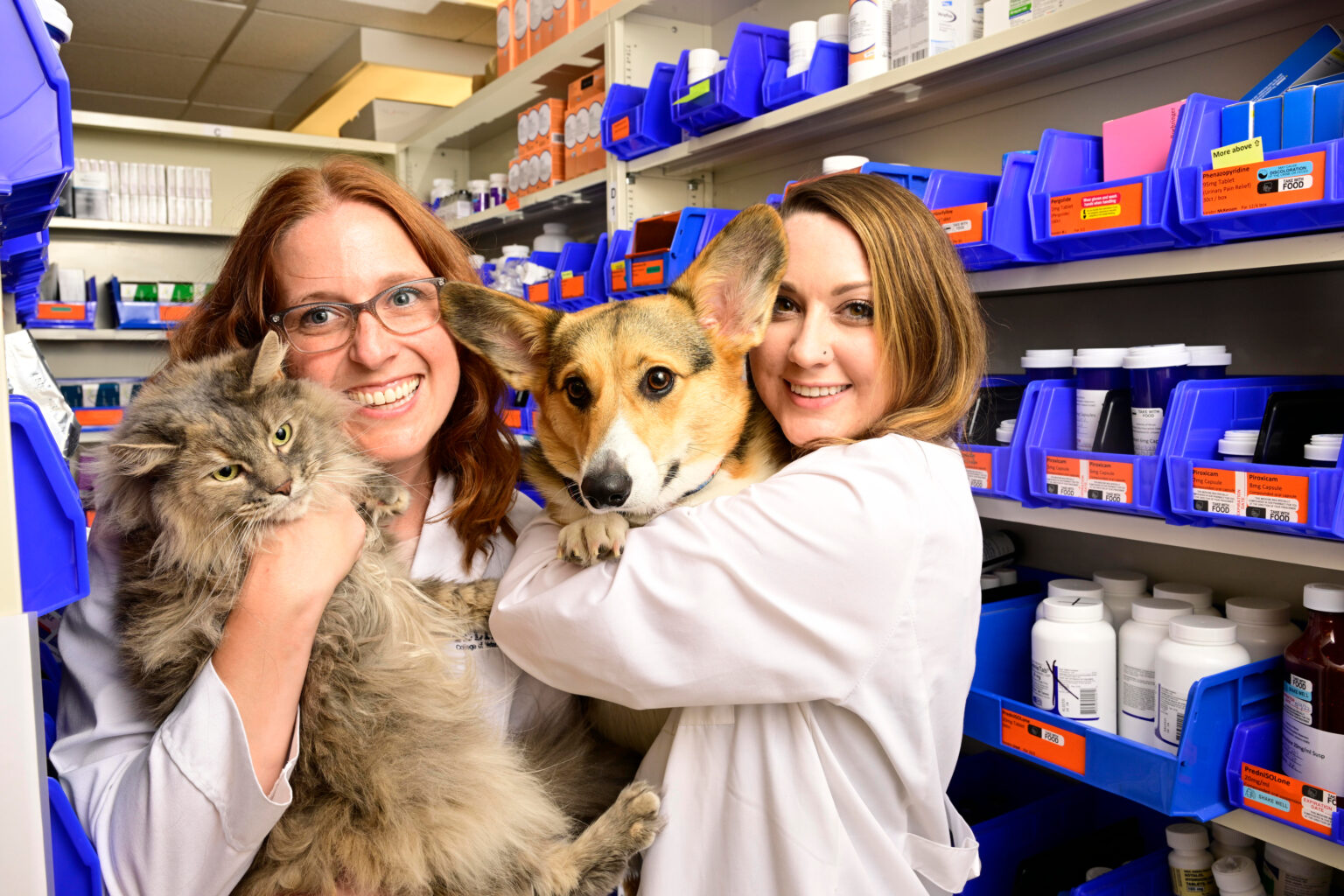 Medication Dispensary - Veterinary Medicine at Illinois