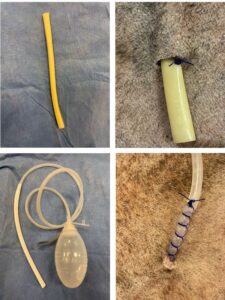 Use of Drains in Small Animal Patients - Veterinary Medicine at Illinois