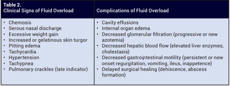 Considerations for Creating a Fluid Therapy Plan - Veterinary Medicine ...