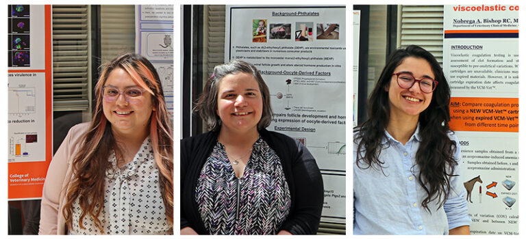 Research Day Highlights Students - Veterinary Medicine at Illinois