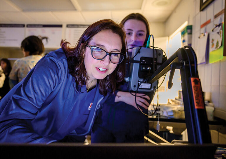 Neurologic Manifestations of Systemic Diseases - Veterinary Medicine at ...