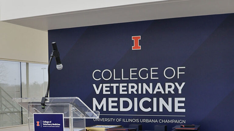 College Excellence Awards 2024 - Veterinary Medicine at Illinois