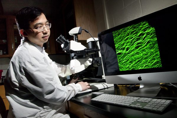 Gallery – Yang Lab