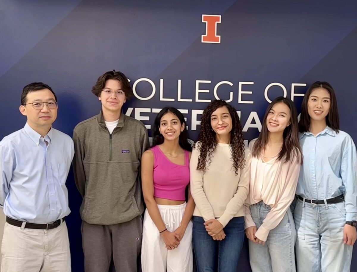 Gallery – Yang Lab